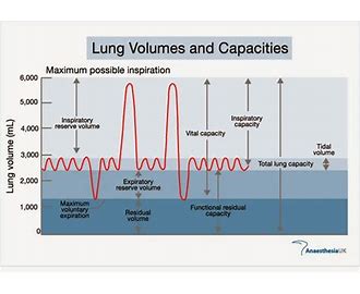 مخفف کلمه FVC چیست؟