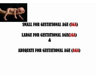 301 Moved Permanently